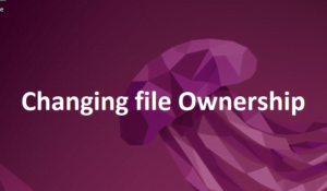 How to change file and directories Ownership in Linux - Amar IT Tech