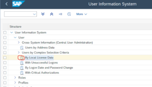 how to export a list of users and their license details from SAP S4hana