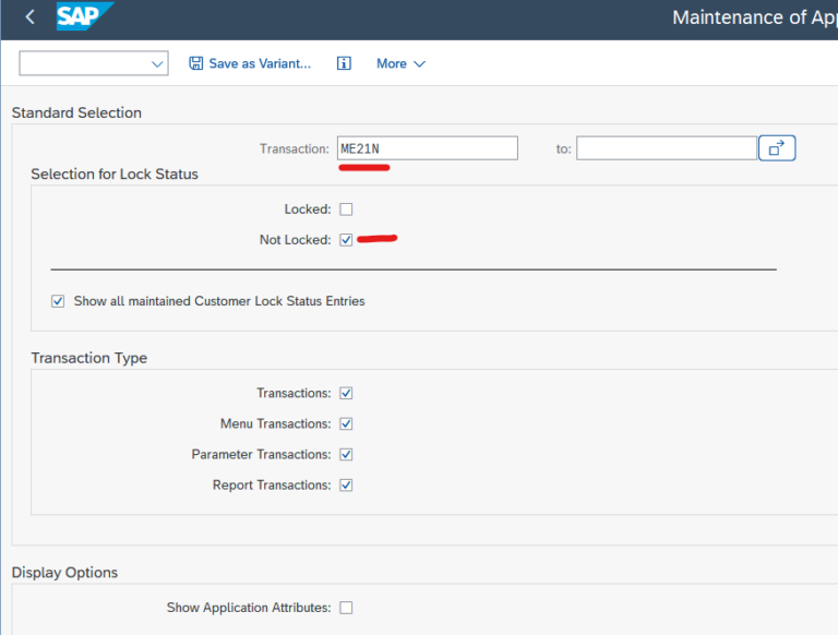 How to Lock Transaction Code (T-code) in SAP S4 Hana - Amar IT Tech
