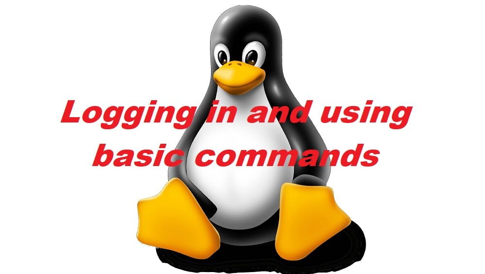 Logging In And Using Basic Linux Commands Amar IT Tech