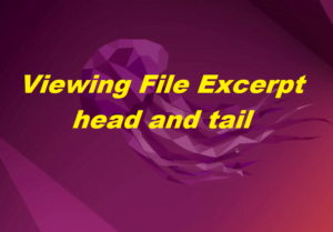 How to use head and tail to View File Excerpts in Linux